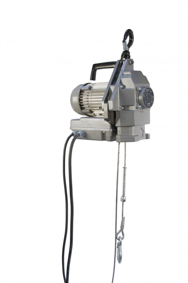 110V Electric Minifor - 20m Rope Pwd Hoist 500kg | GAP Group