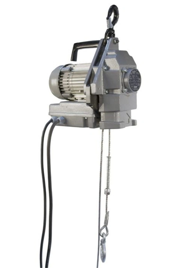Wire Rope Hoist - 300kg | GAP Group